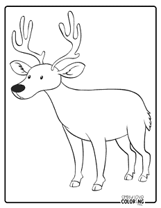 Deer Coloring Pages (Free PDF Printables) - Simply Love Coloring