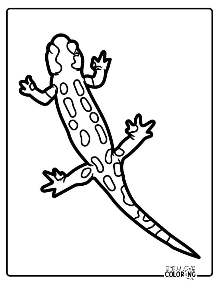 19 Salamander Coloring Pages (Free PDF Printables) - Simply Love Coloring