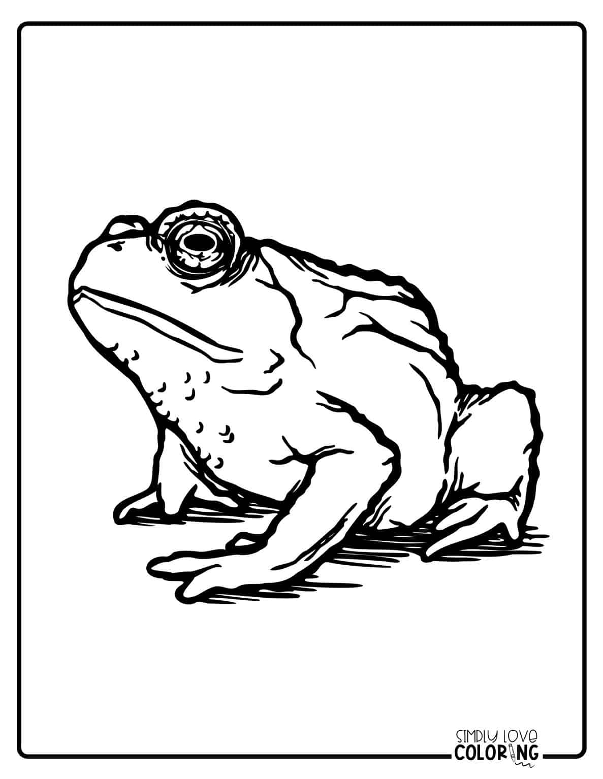 26 Toad Coloring Pages (Free PDF Printables) - Simply Love Coloring