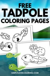 Tadpole Coloring Pages (Free PDF Printables) - Simply Love Coloring