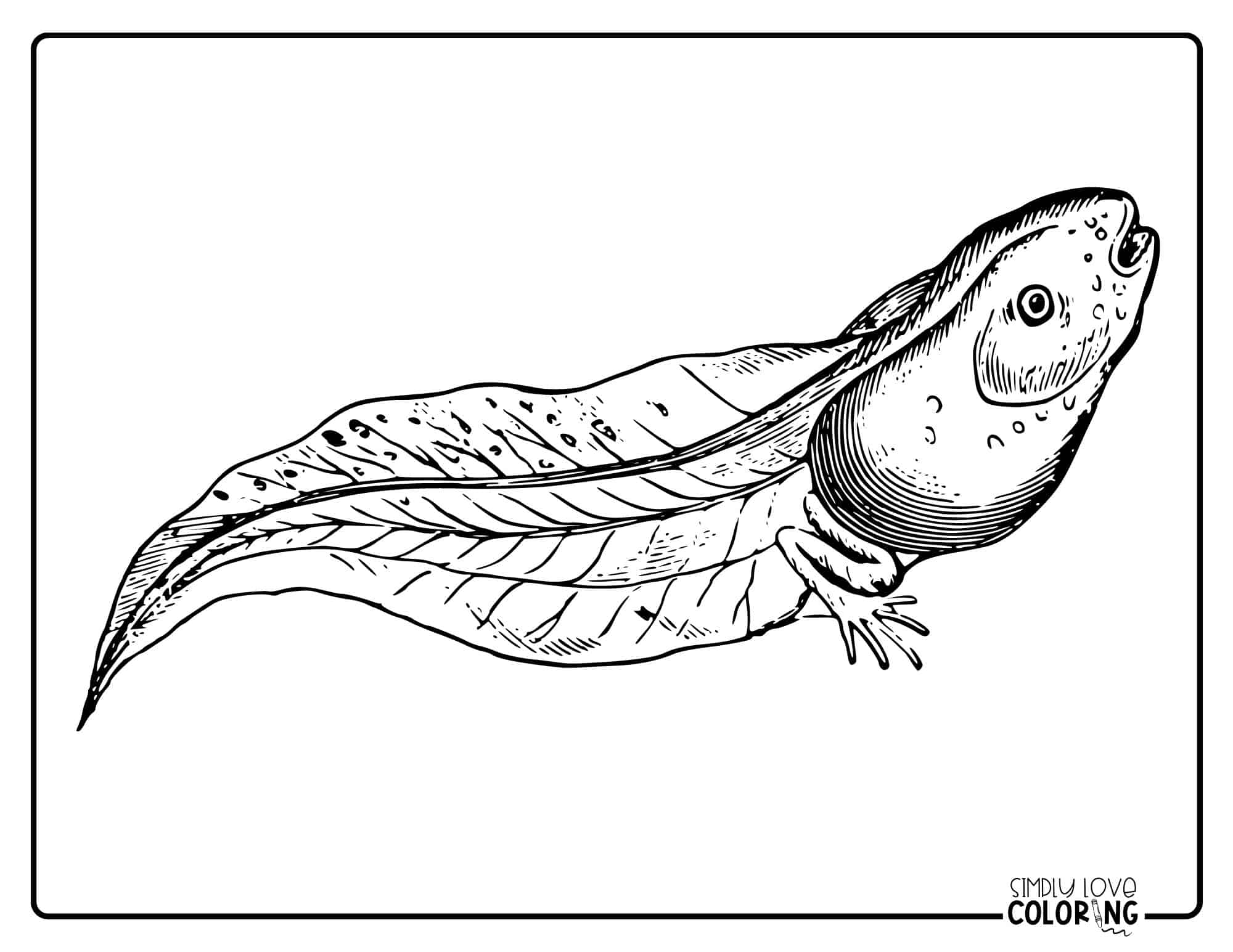Tadpole Coloring Pages (Free PDF Printables) - Simply Love Coloring