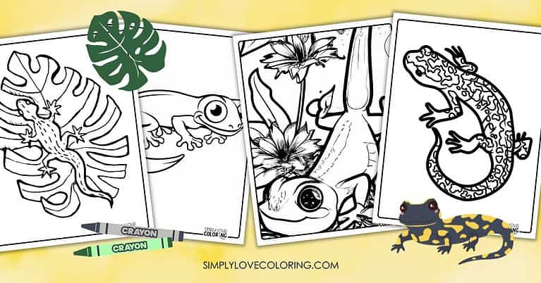 19 Salamander Coloring Pages (Free PDF Printables) - Simply Love Coloring