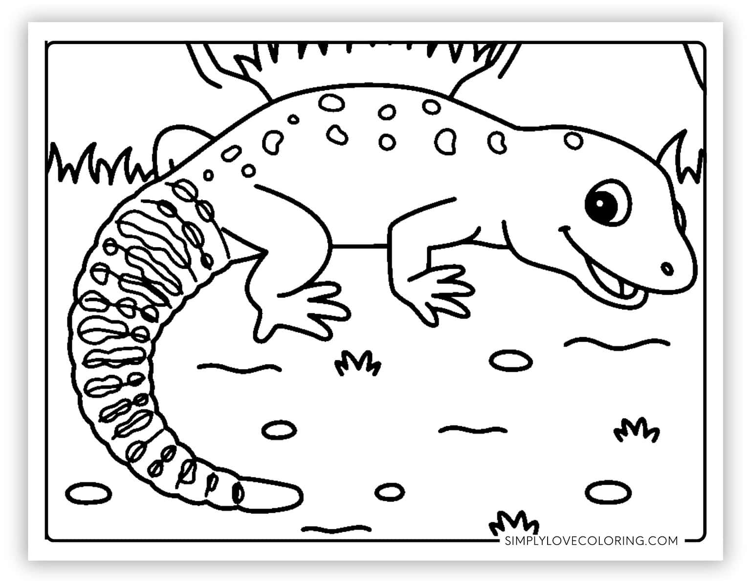 19 Salamander Coloring Pages (Free PDF Printables) - Simply Love Coloring
