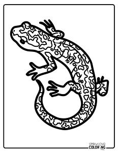 19 Salamander Coloring Pages (Free PDF Printables) - Simply Love Coloring