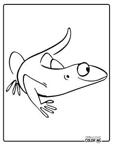 19 Salamander Coloring Pages (Free PDF Printables) - Simply Love Coloring