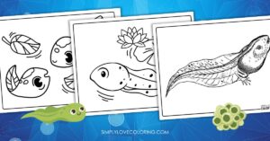 Tadpole Coloring Pages (Free PDF Printables) - Simply Love Coloring