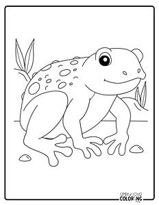 26 Toad Coloring Pages (Free PDF Printables) - Simply Love Coloring