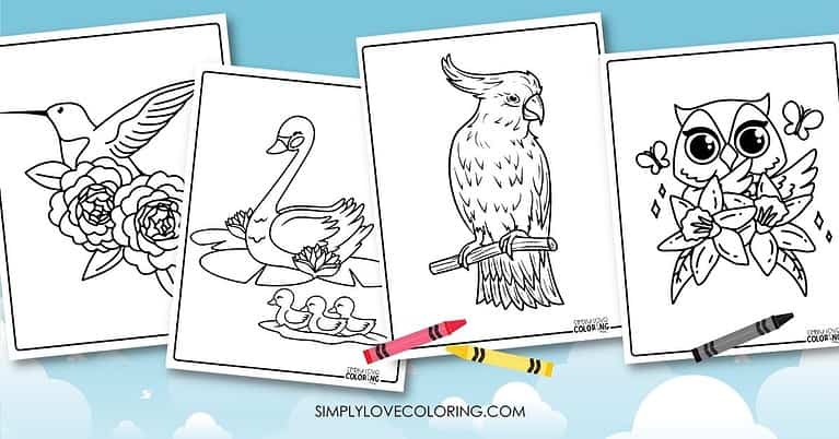 138 Bird Coloring Pages (Free PDF Printables) - Simply Love Coloring