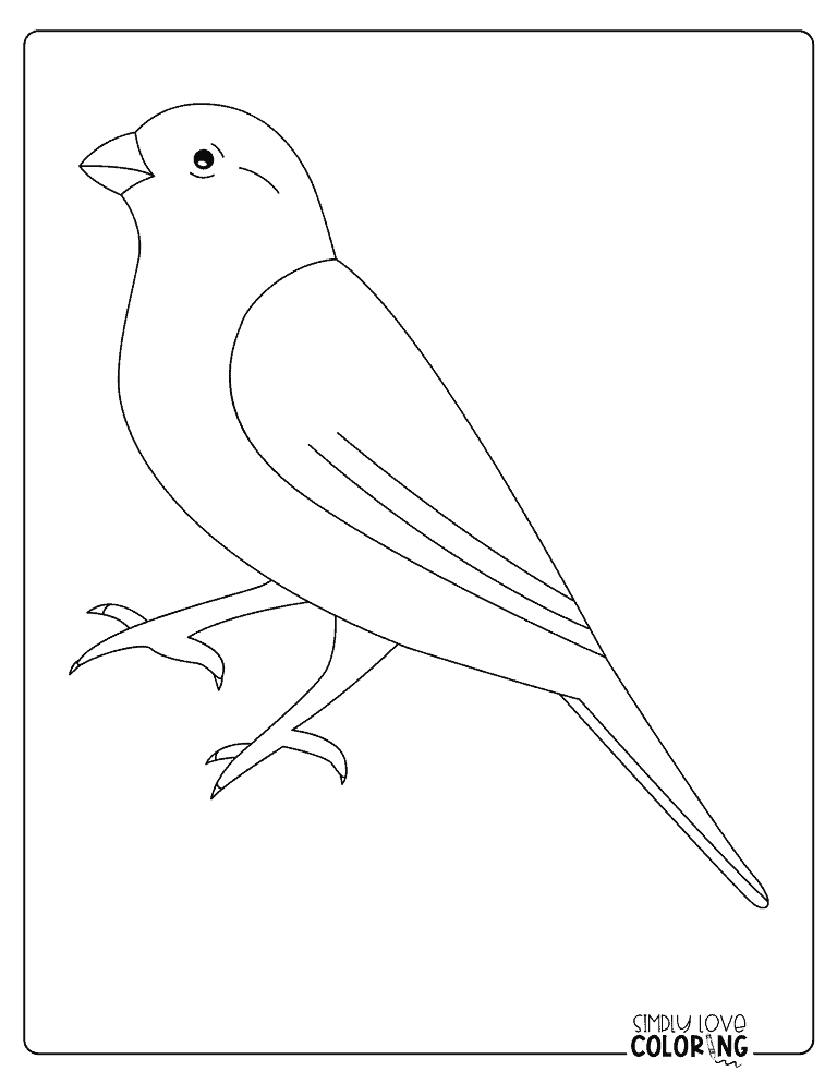 34 Pretty Bird Coloring Pages (Free PDF Printables) - Simply Love Coloring