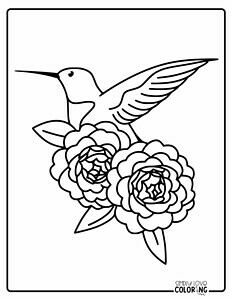 19 Hummingbird Coloring Pages (Free PDF Printables) - Simply Love Coloring