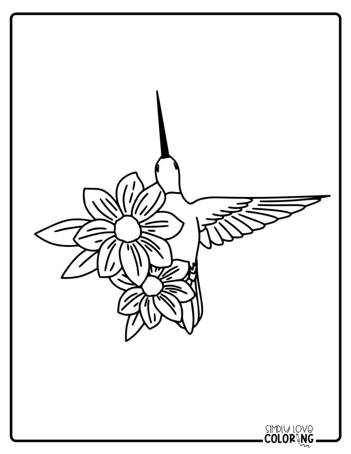 19 Hummingbird Coloring Pages (Free PDF Printables) - Simply Love Coloring