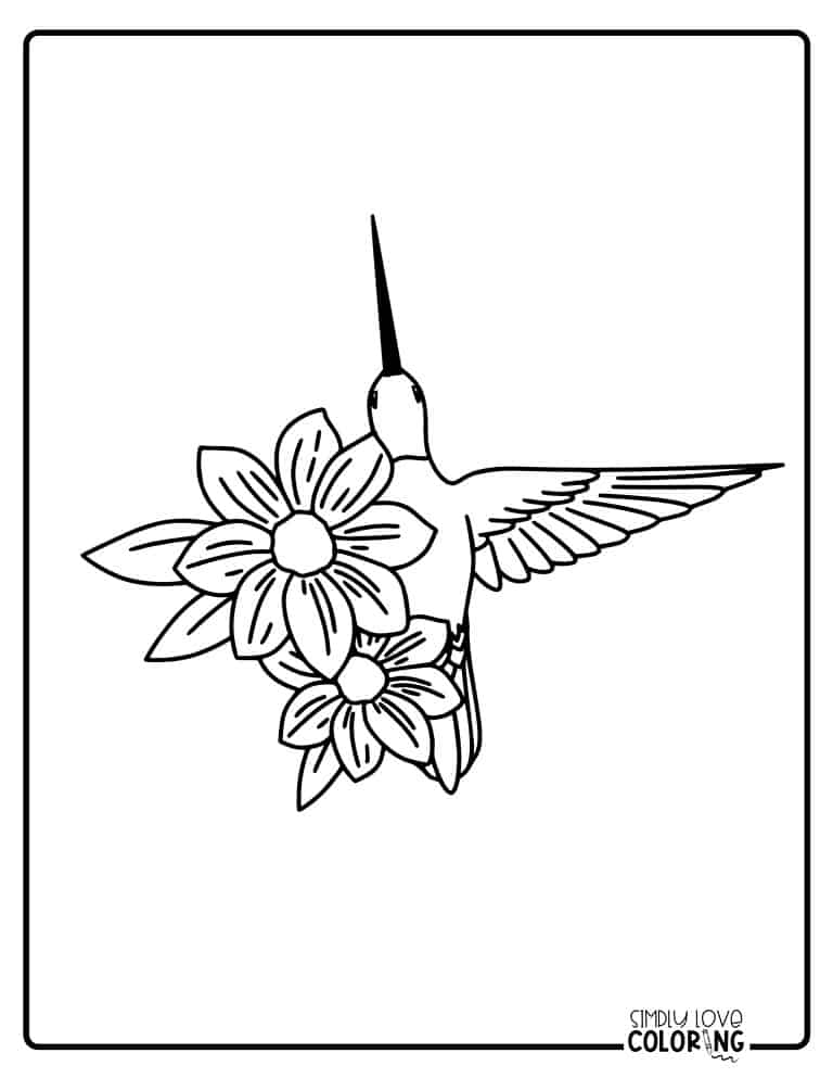 19 Hummingbird Coloring Pages (Free PDF Printables) - Simply Love Coloring