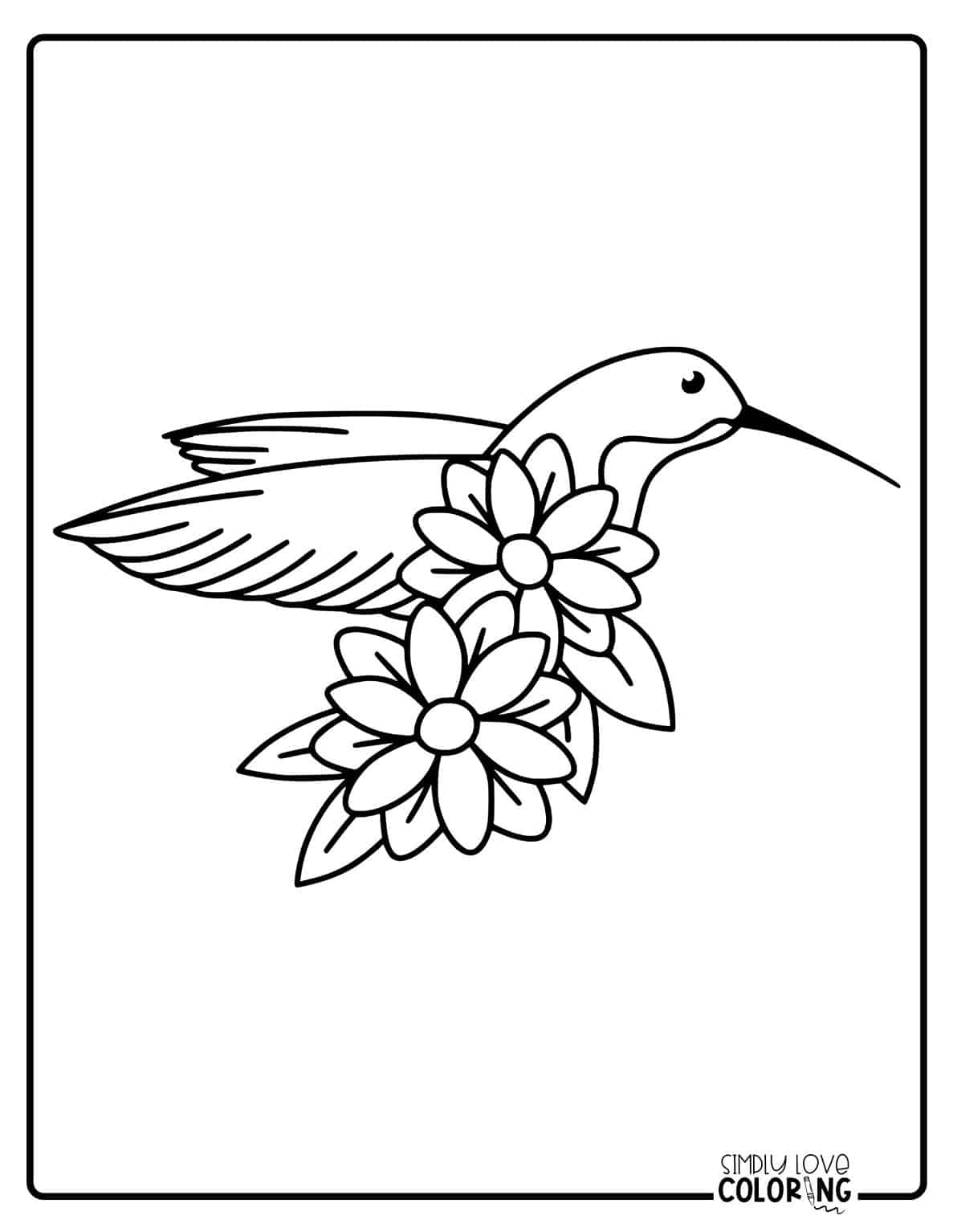 19 Hummingbird Coloring Pages (Free PDF Printables) - Simply Love Coloring