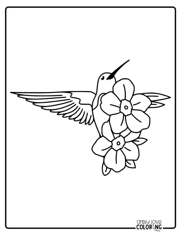 19 Hummingbird Coloring Pages (Free PDF Printables) - Simply Love Coloring