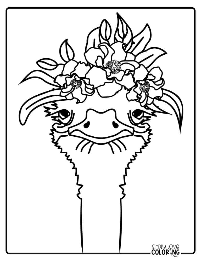 Ostrich Coloring Pages (Free PDF Printables) - Simply Love Coloring