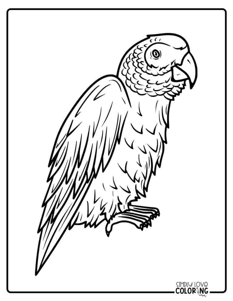 Parrot Coloring Pages (Free PDF Printables) - Simply Love Coloring