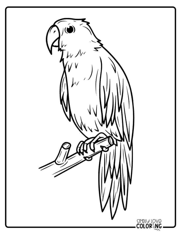 Parrot Coloring Pages (Free PDF Printables) - Simply Love Coloring