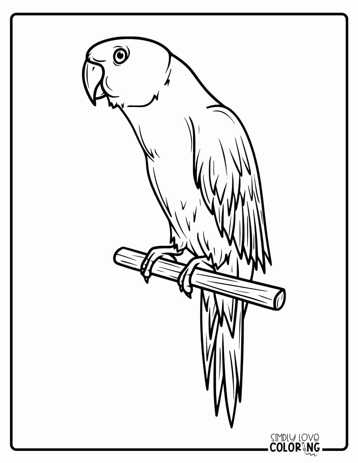 Parrot Coloring Pages (Free PDF Printables) - Simply Love Coloring