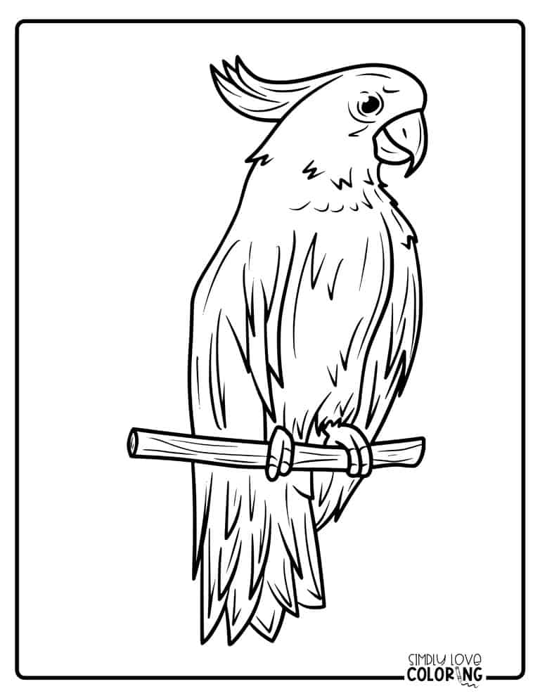 Parrot Coloring Pages (Free PDF Printables) - Simply Love Coloring