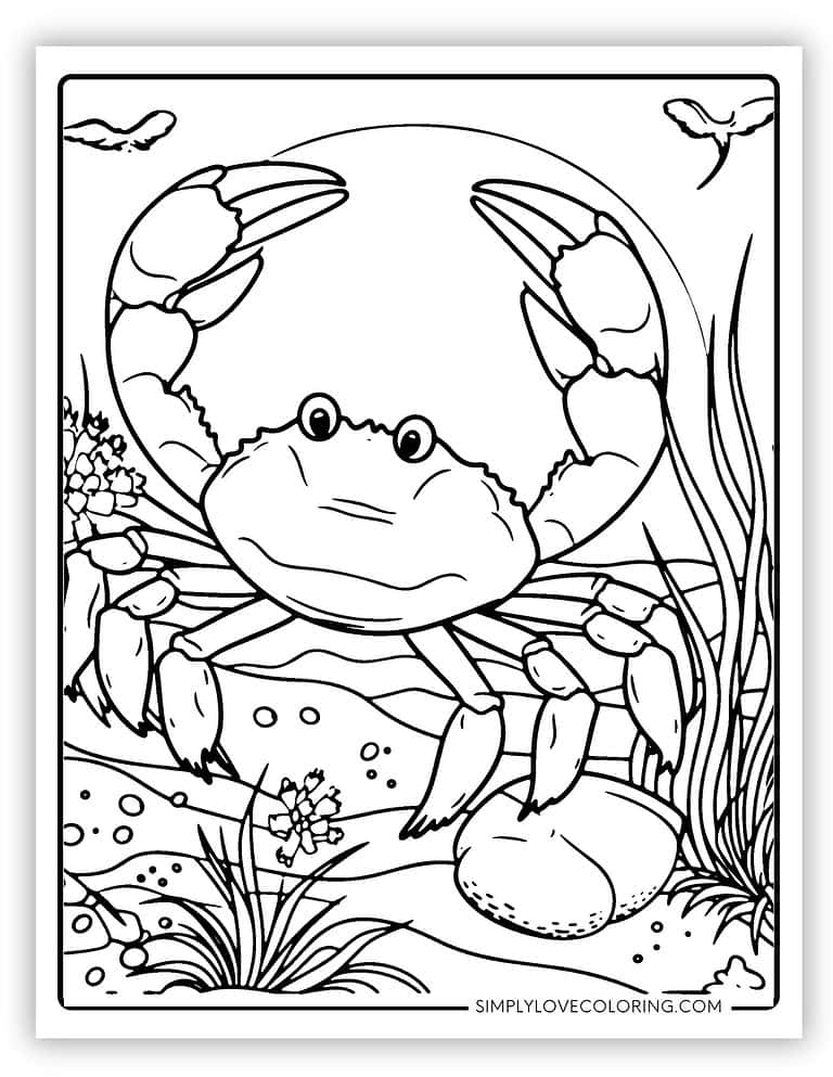36 Crab Coloring Pages (Free PDF Printables) - Simply Love Coloring