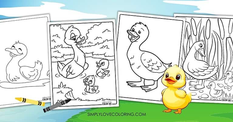 21 Duck Coloring Pages (Free PDF Printables) - Simply Love Coloring