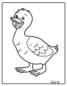 21 Duck Coloring Pages (Free PDF Printables) - Simply Love Coloring
