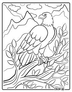 Eagle Coloring Pages (Free PDF Printables) - Simply Love Coloring