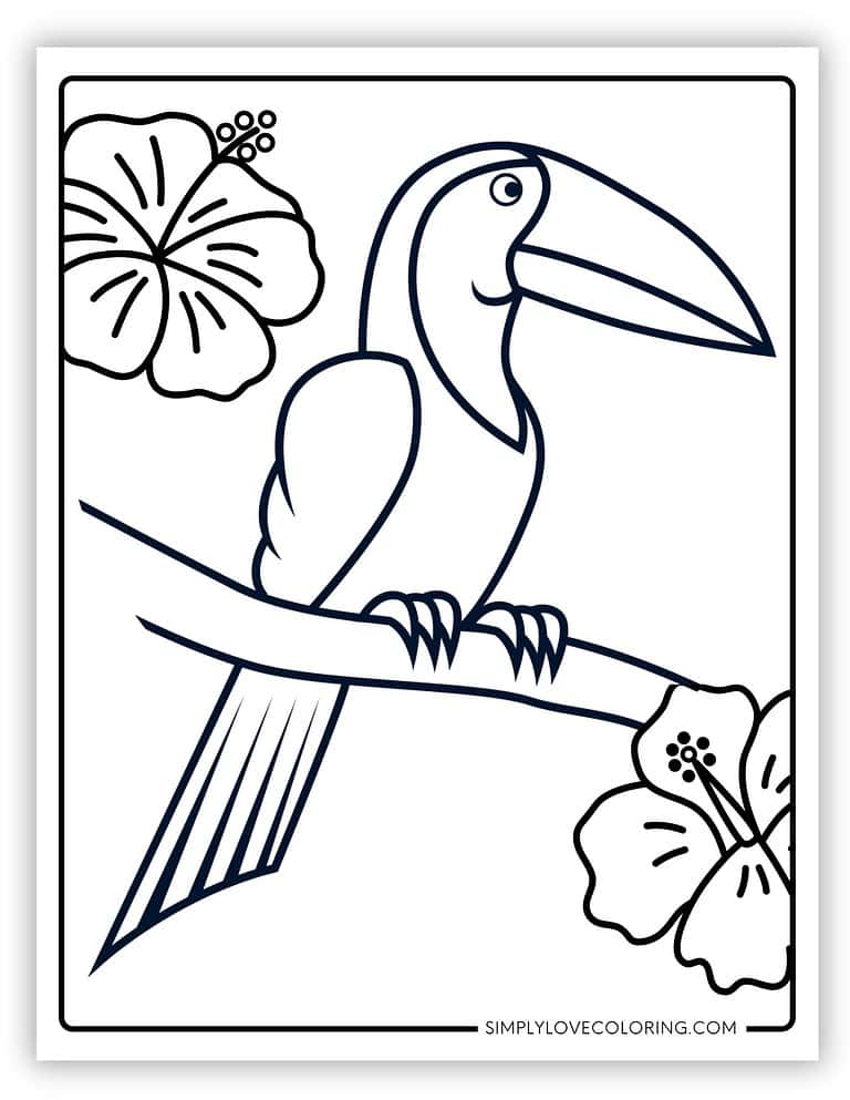 Toucan Coloring Pages (Free PDF Printables) - Simply Love Coloring