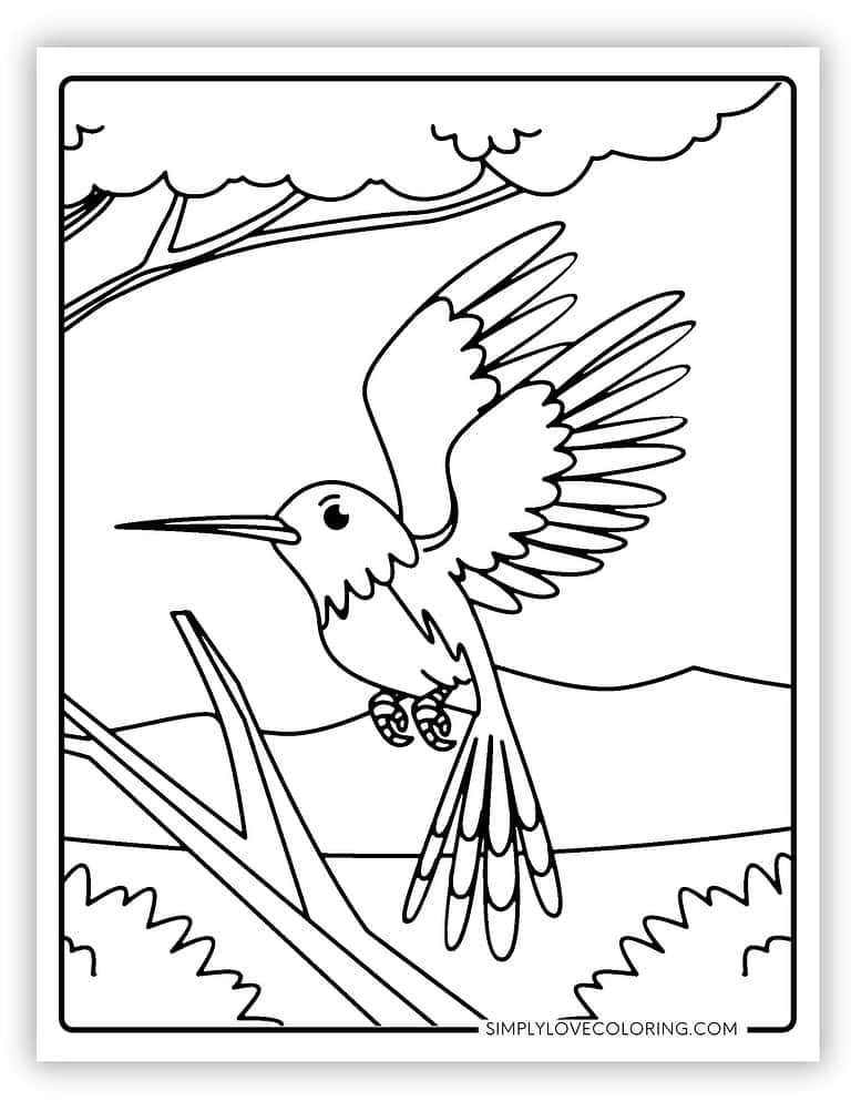 19 Hummingbird Coloring Pages (Free PDF Printables) - Simply Love Coloring