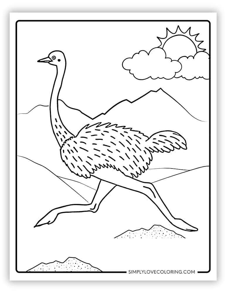 Ostrich Coloring Pages (Free PDF Printables) - Simply Love Coloring