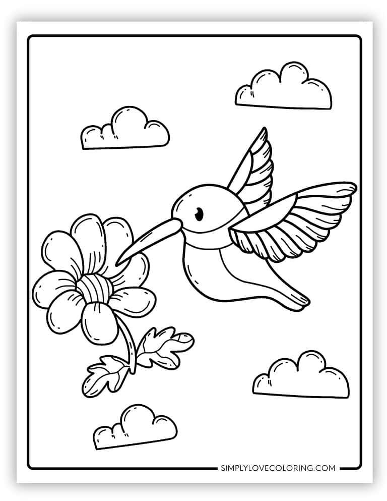 19 Hummingbird Coloring Pages (Free PDF Printables) - Simply Love Coloring
