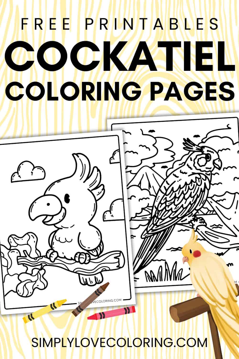 21 Cockatiel Coloring Pages (Free PDF Printables) - Simply Love Coloring
