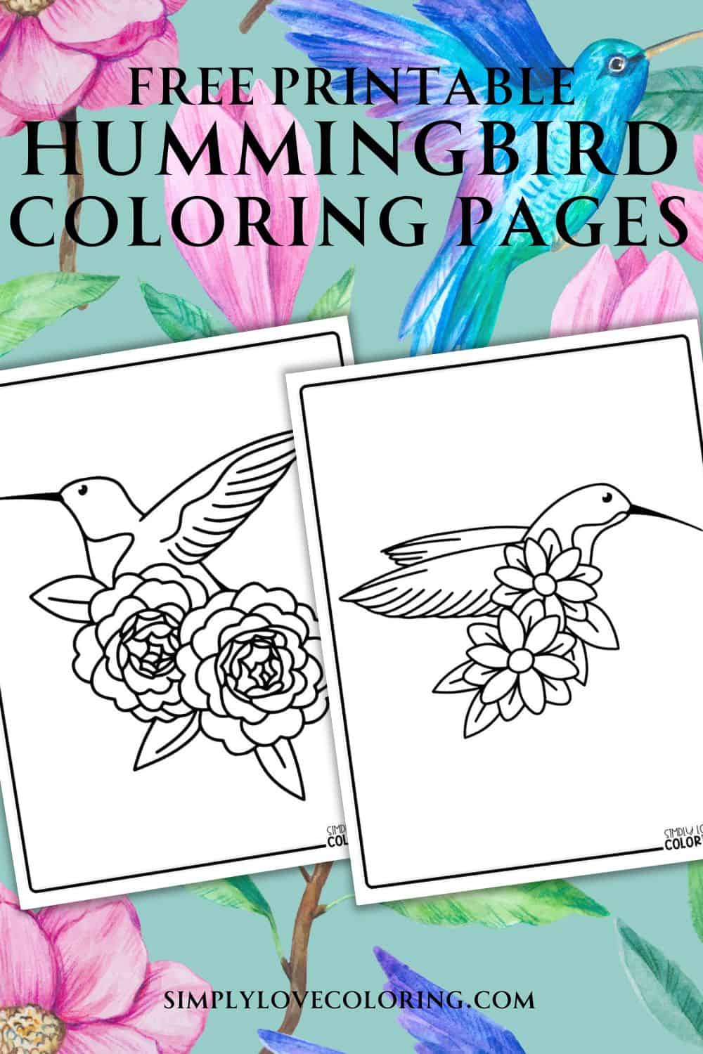 19 Hummingbird Coloring Pages (Free PDF Printables) - Simply Love Coloring