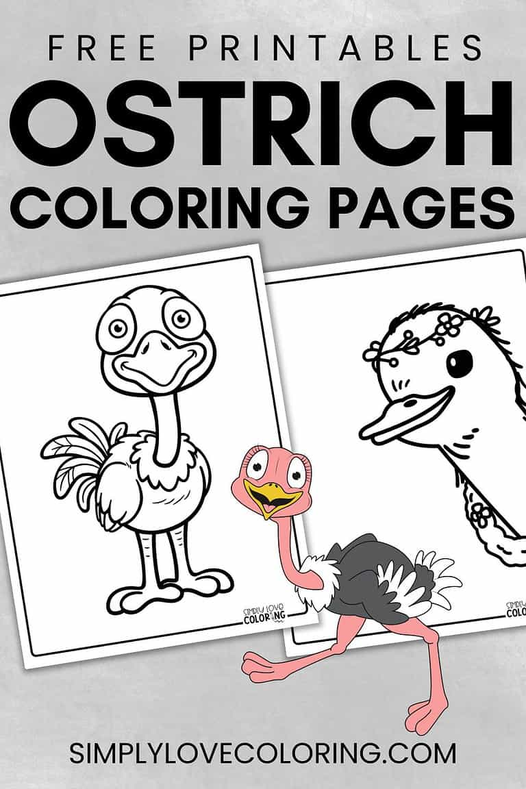 Ostrich Coloring Pages (Free PDF Printables) - Simply Love Coloring