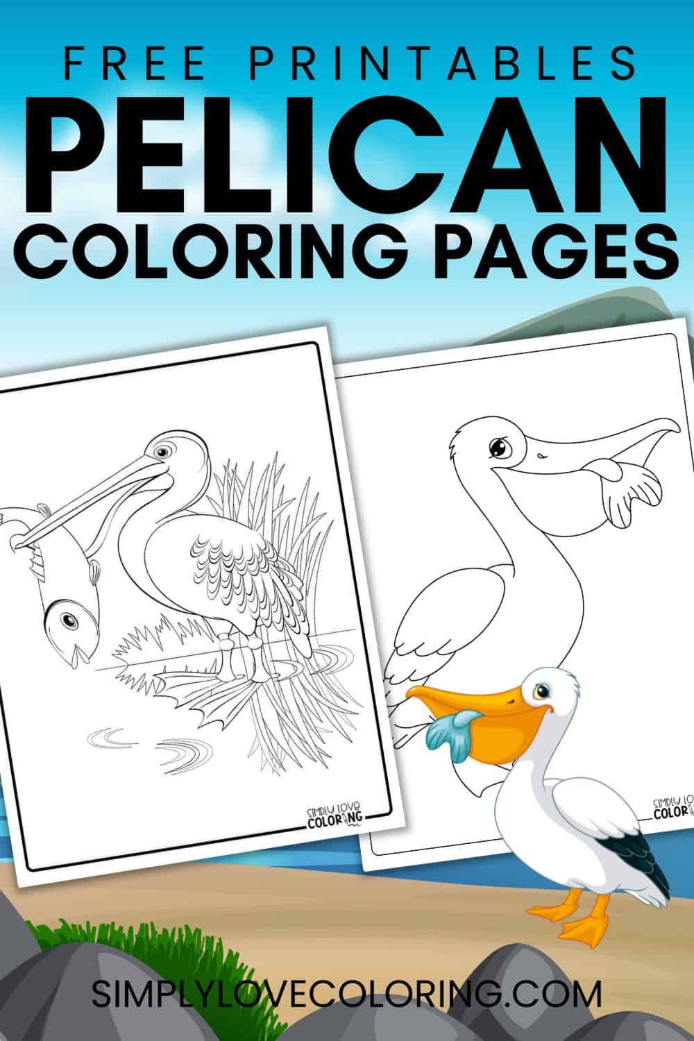 Pelican Coloring Pages (Free PDF Printables) - Simply Love Coloring