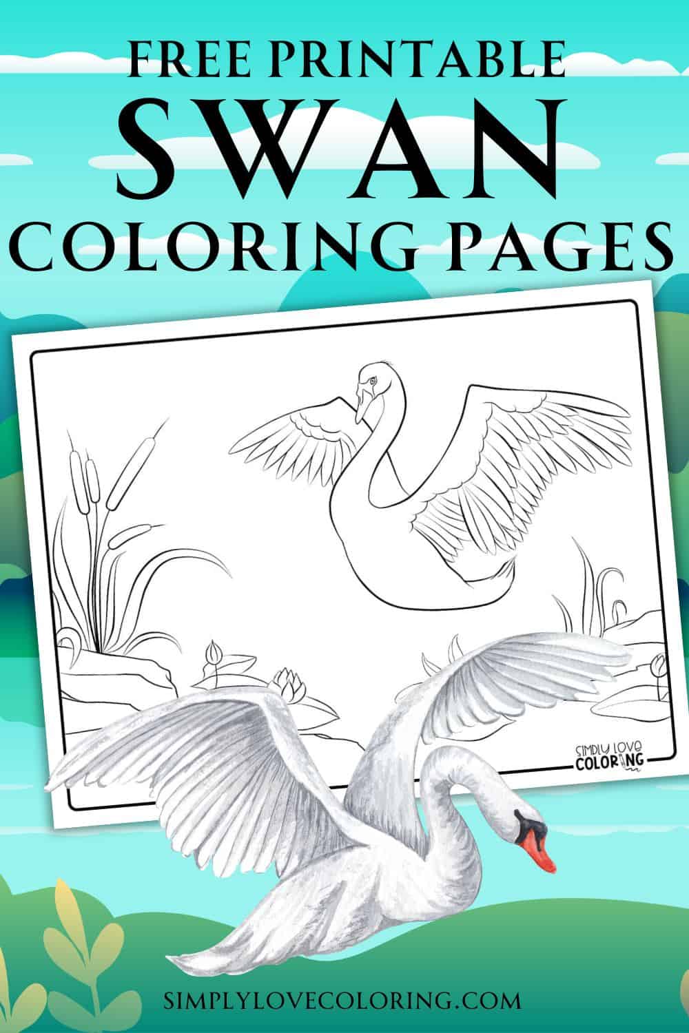 Swan Coloring Pages (Free PDF Printables) - Simply Love Coloring