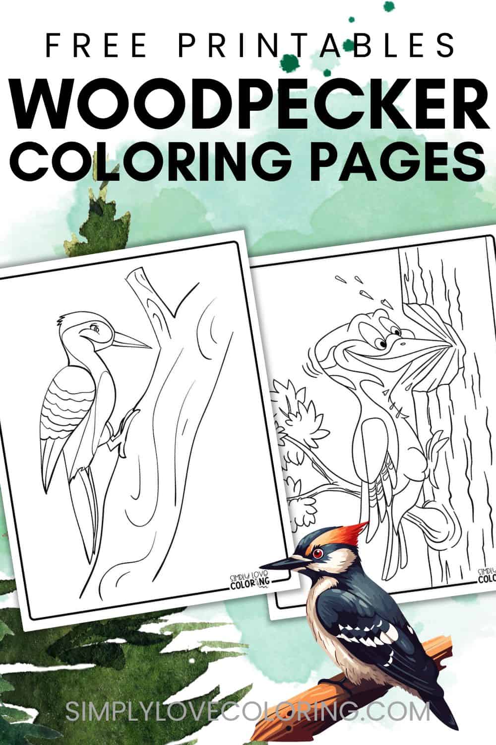 Woodpecker Coloring Pages (Free PDF Printables) - Simply Love Coloring