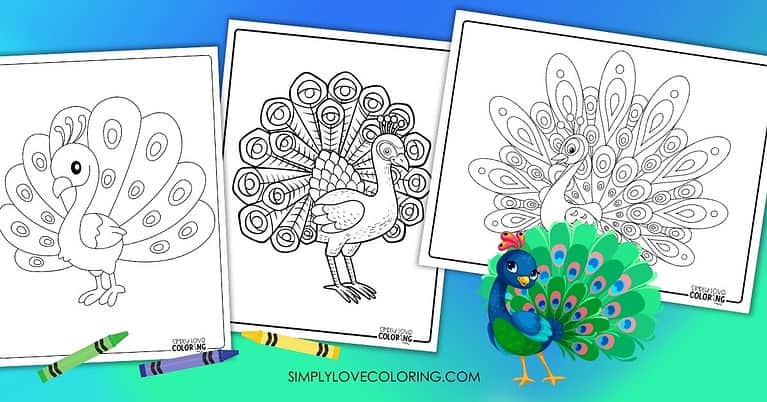 Peacock Coloring Pages (Free PDF Printables) - Simply Love Coloring