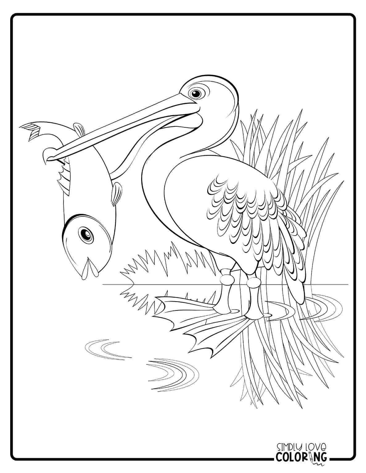 Pelican Coloring Pages (Free PDF Printables) - Simply Love Coloring