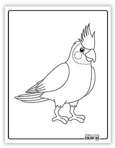 21 Cockatiel Coloring Pages (Free PDF Printables) - Simply Love Coloring
