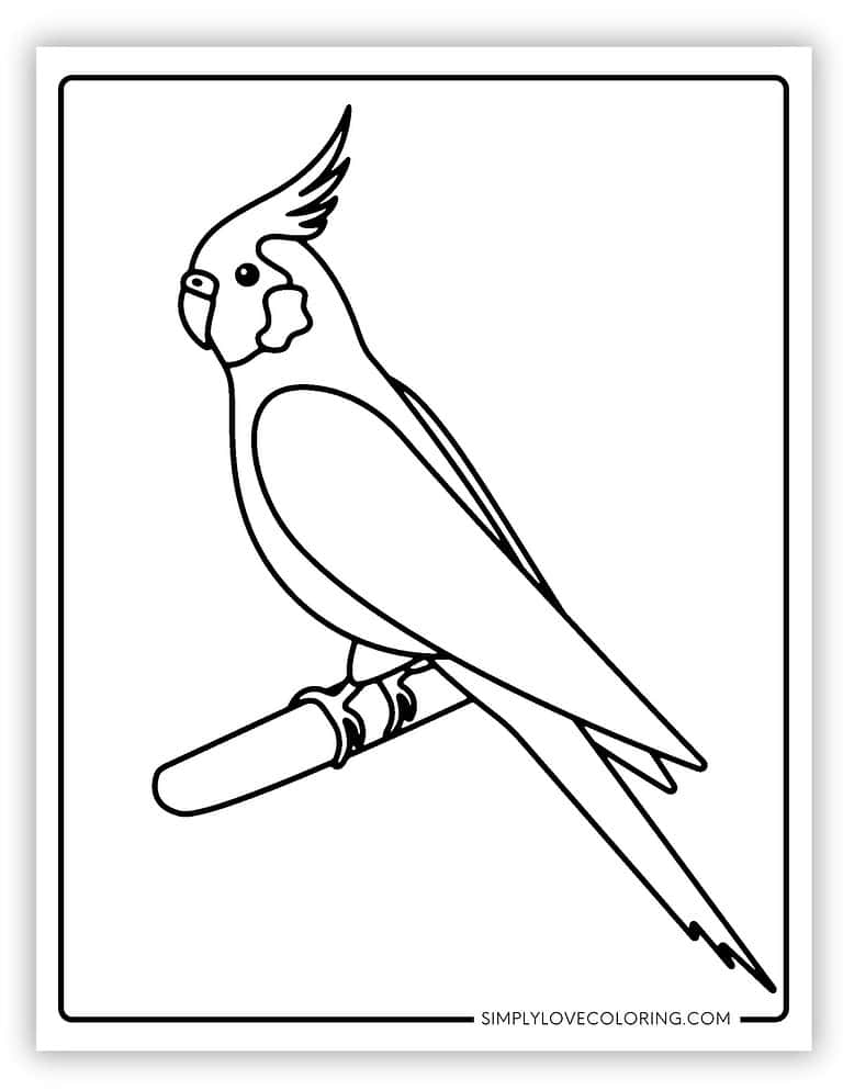 21 Cockatiel Coloring Pages (Free PDF Printables) - Simply Love Coloring