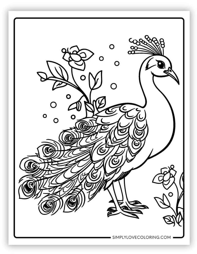 Peacock Coloring Pages (Free PDF Printables) - Simply Love Coloring