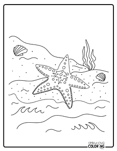 14 Starfish Coloring Pages (Free PDF Printables) - Simply Love Coloring