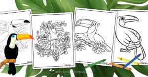 Toucan Coloring Pages (Free PDF Printables) - Simply Love Coloring