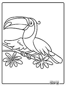 Toucan Coloring Pages (Free PDF Printables) - Simply Love Coloring