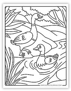 21 Duck Coloring Pages (Free PDF Printables) - Simply Love Coloring
