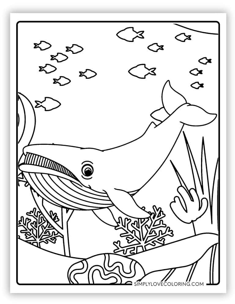 35 Whale Coloring Pages (Free PDF Printables) - Simply Love Coloring