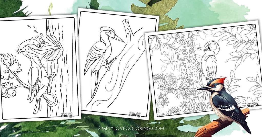 Woodpecker Coloring Pages (Free PDF Printables) - Simply Love Coloring
