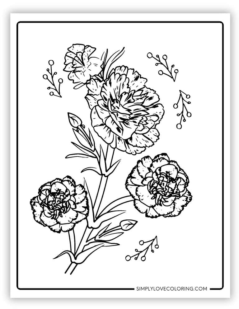 15 Carnation Flower Coloring Pages (Free PDF Printables) - Simply Love ...
