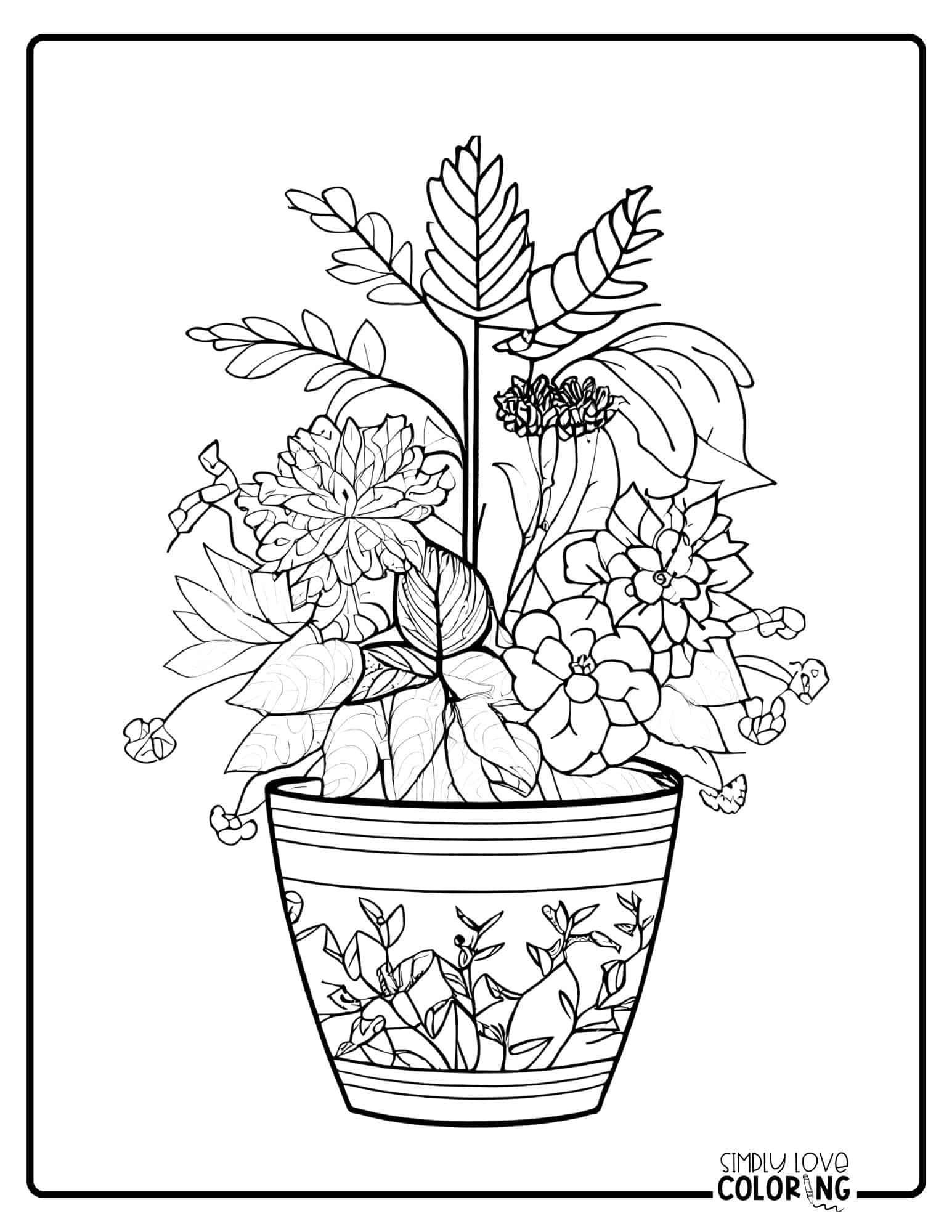 Plant Coloring Clipart Cycle Roots Life Worksheet Growing Tree Clip ...